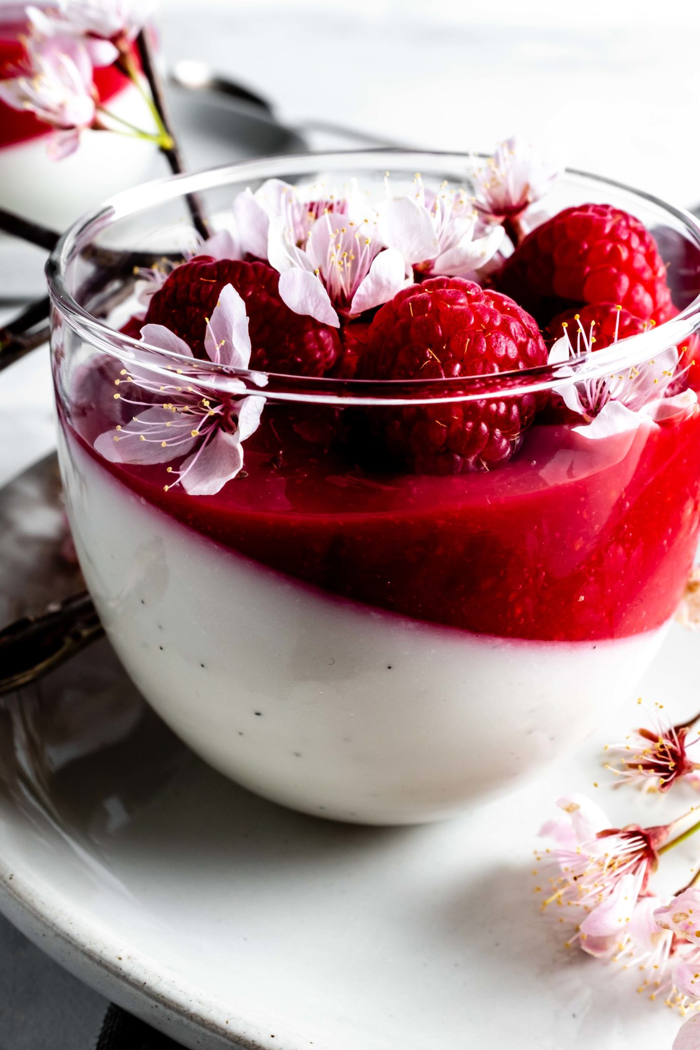 Panna Cotta with Agar Agar - Whisked Away Kitchen