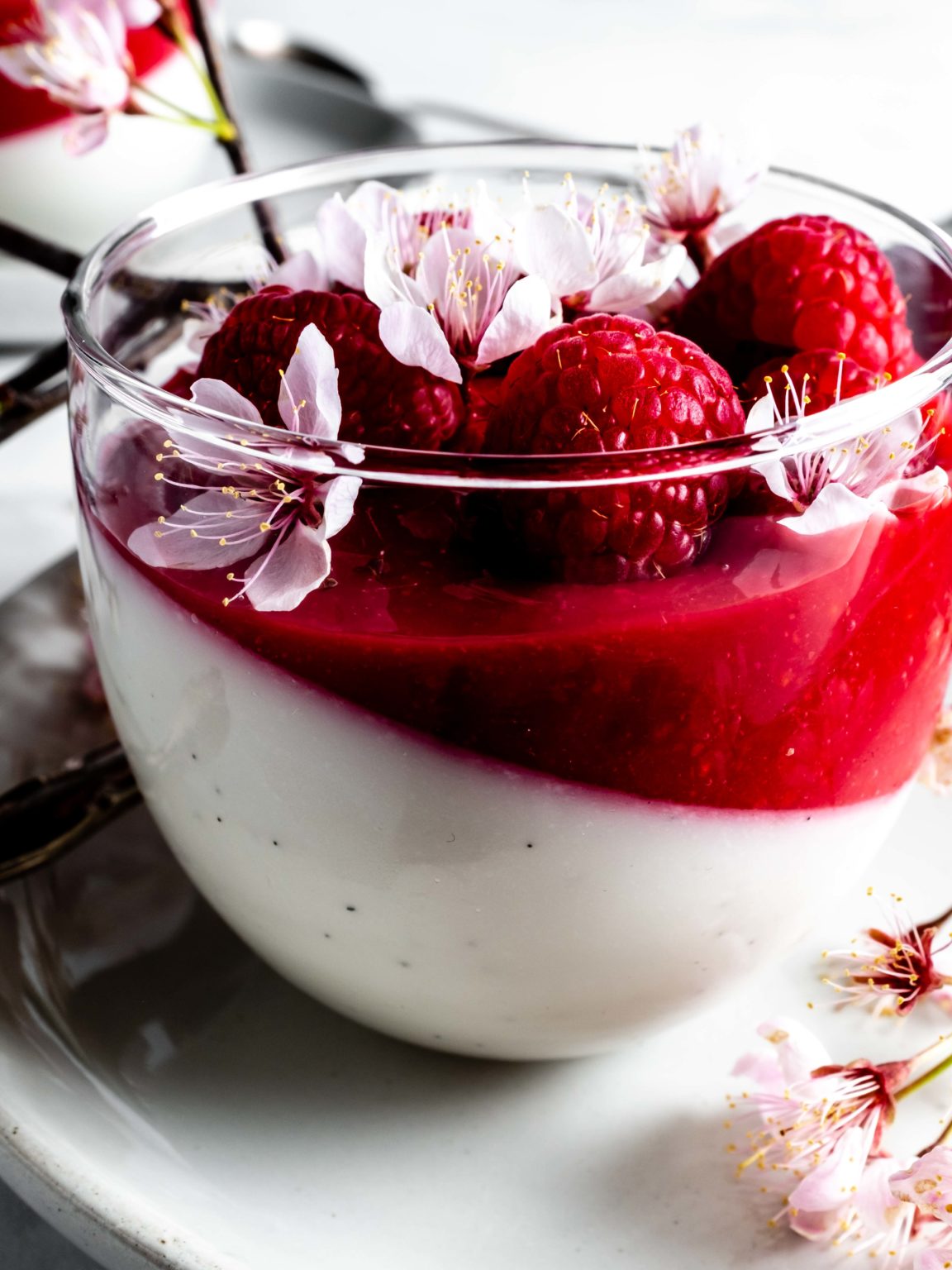 Panna Cotta with Agar Agar + Raspberry Coulis - Whisked Away Kitchen
